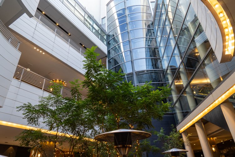 渋谷『Bunkamura』2023年4月10日から長期休館へ。渋谷でフランスや大人の文化を感じられる場所｜さんたつ by 散歩の達人